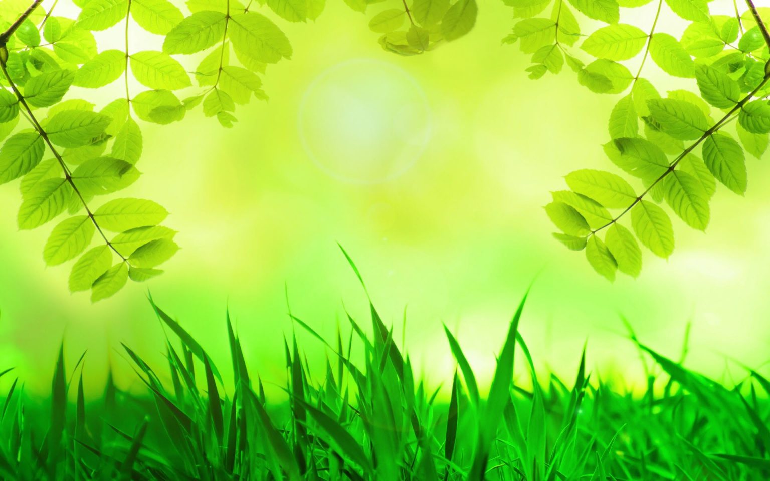 Hình Nền Xanh ️ Top 100+ Background Màu Xanh Đẹp Nhất
