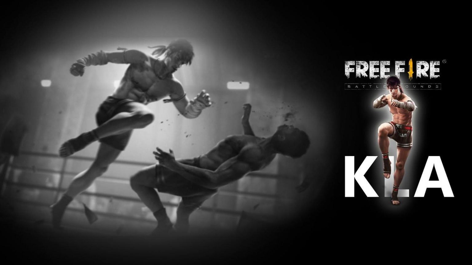 100+ Hình Nền Free Fire Đẹp Nhất, Ảnh Nền FF 3D 4K Chất