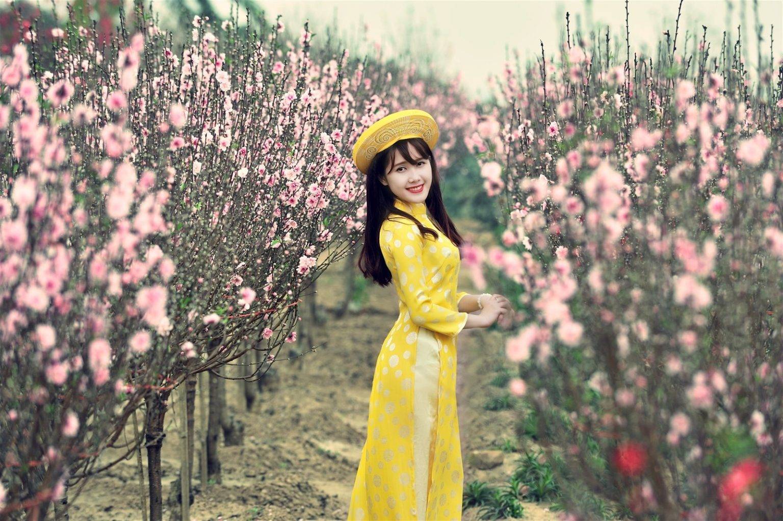 328+ Hình Ảnh Mùa Xuân Đẹp Nhất [Thế Giới và Việt Nam]