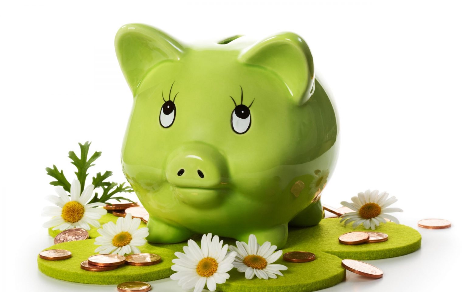 Hình Nền Con Heo Đẹp [157+ Hình Nền Heo Dễ Thương Nhất